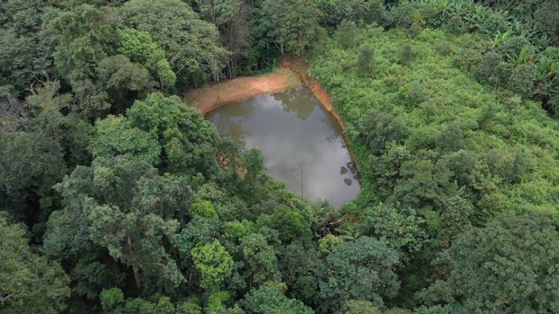 Good Deeds for the World CP 100th Anniversary: Planting for ...